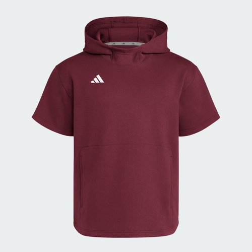 adidas NWV Short Sleeve Hoodie Gender Neutral 'Team Maroon' - IS9766 ...