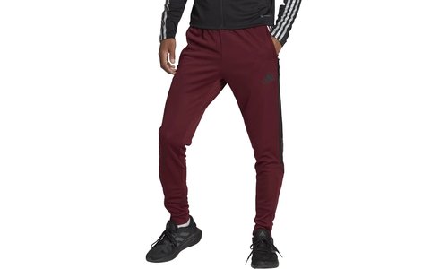 adidas TIRO23 Pant 'Black' - HR7134 | Solesense