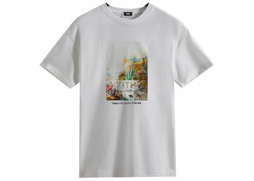 Kith Art Of Nature Vintage Tee 'White' | Solesense
