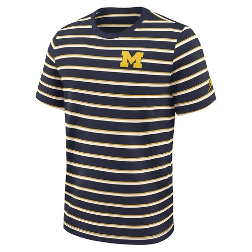 Michigan Athletic Prep Legacy Summit Stripe Air Air Jordan College T ...