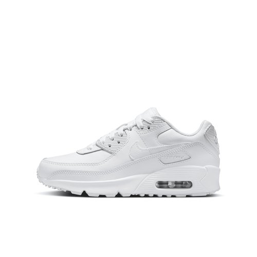 Nike Air Max 90 'White Metallic Silver' - HF6358-102 | Solesense