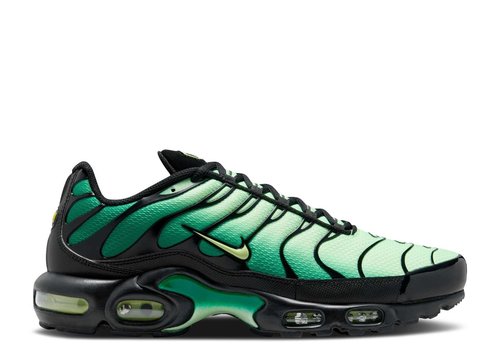 Nike Air Max Plus 'Vapor Green Gradient' - DM0032-301 | Solesense