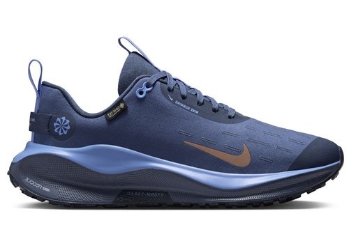 Nike ReactX Infinity Run 4 GORE-TEX 'Thunder Blue Metallic Red Bronze ...