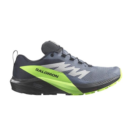Salomon Sense Ride 5 GORE-TEX | Grey | Size 11 'Flint Stone Green Gecko ...
