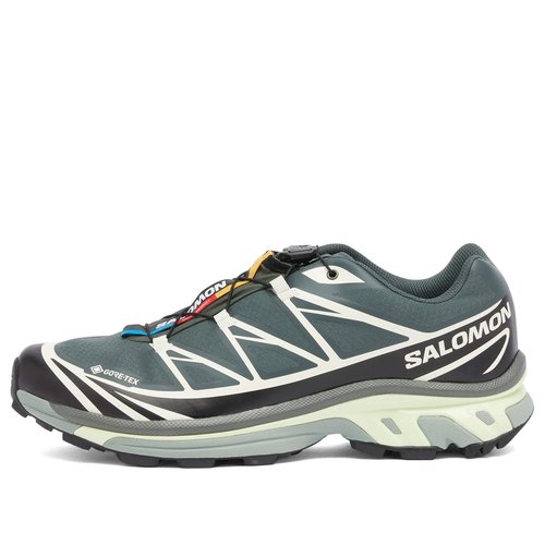 Salomon XT-6 GTX 'Urban Chic/Black/Lime Cream' - L47581300 | Solesense