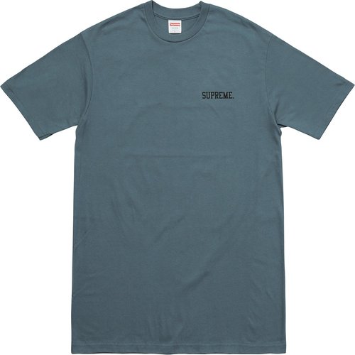 Supreme AKIRA Syringe Tee Shirt 'Slate' | Solesense