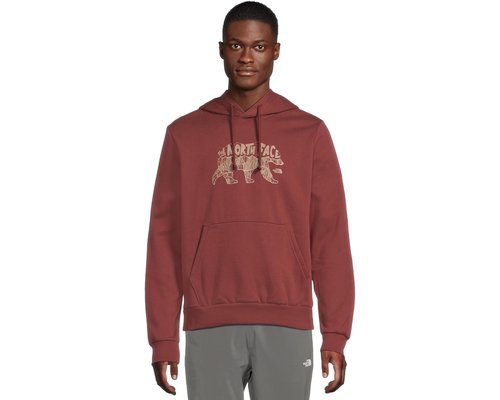 The North Face Evolution TNF Bear Hoodie Graphic Sweatshirt 'Sumac ...