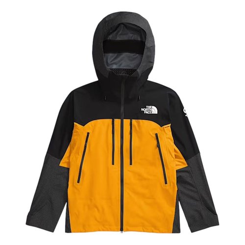 The North Face Summit Series Mountain Gore-Tex Pro Jacket 'Summit Gold ...