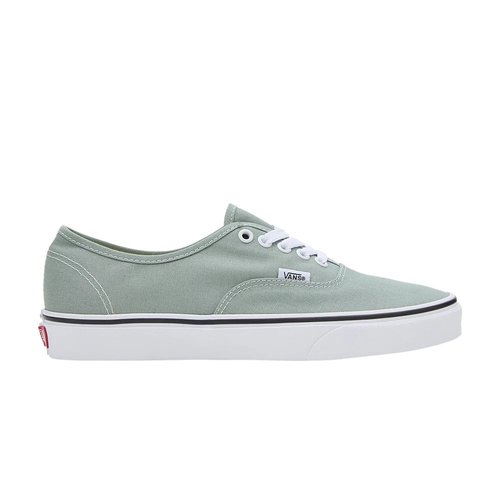 Vans Authentic 'Color Theory - Iceberg Green' - VN000BW5CJL | Solesense